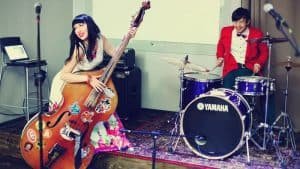 Big Violin-Like Instrument (What Is It And How Does It Compare?)