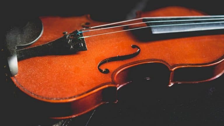 How Does A Violin Make Sound? (It's Pretty Amazing!)