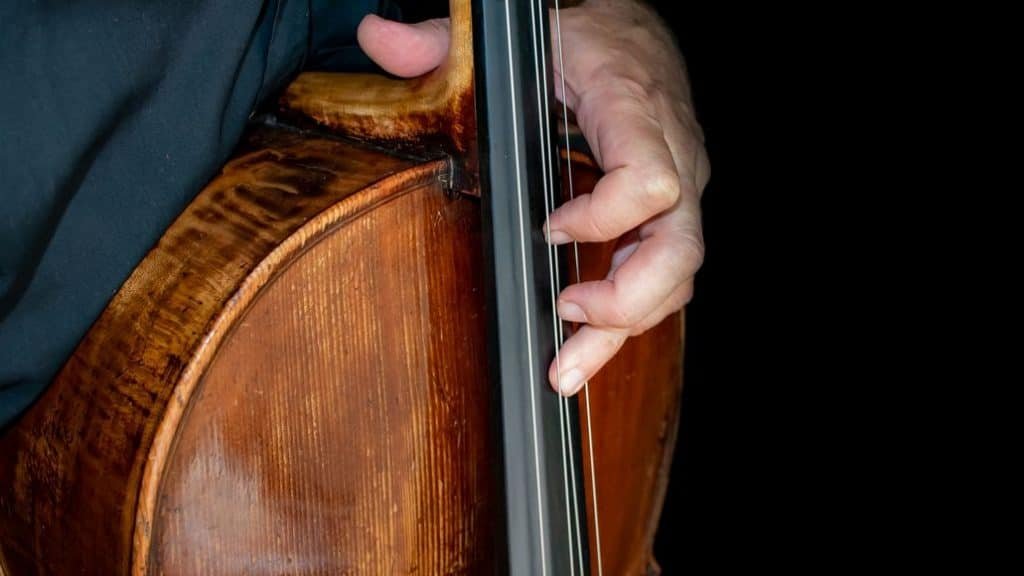 Violin Vs Cello Which Is Better For You