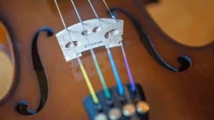 What Are The Strings On A Violin? (Material, Tuning & More)
