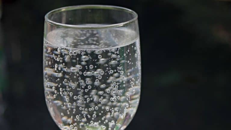 Best Drink For Singing Voice (And What NEVER To Drink)