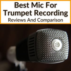 Best Mic For Trumpet Recording (Reviews And Comparison)