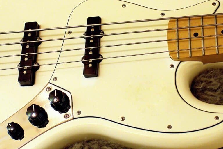 Parts Of A Bass Guitar (With Labeled Photo Of Bass Anatomy)