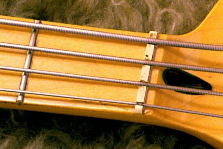 Parts Of A Bass Guitar (With Labeled Photo Of Bass Anatomy)